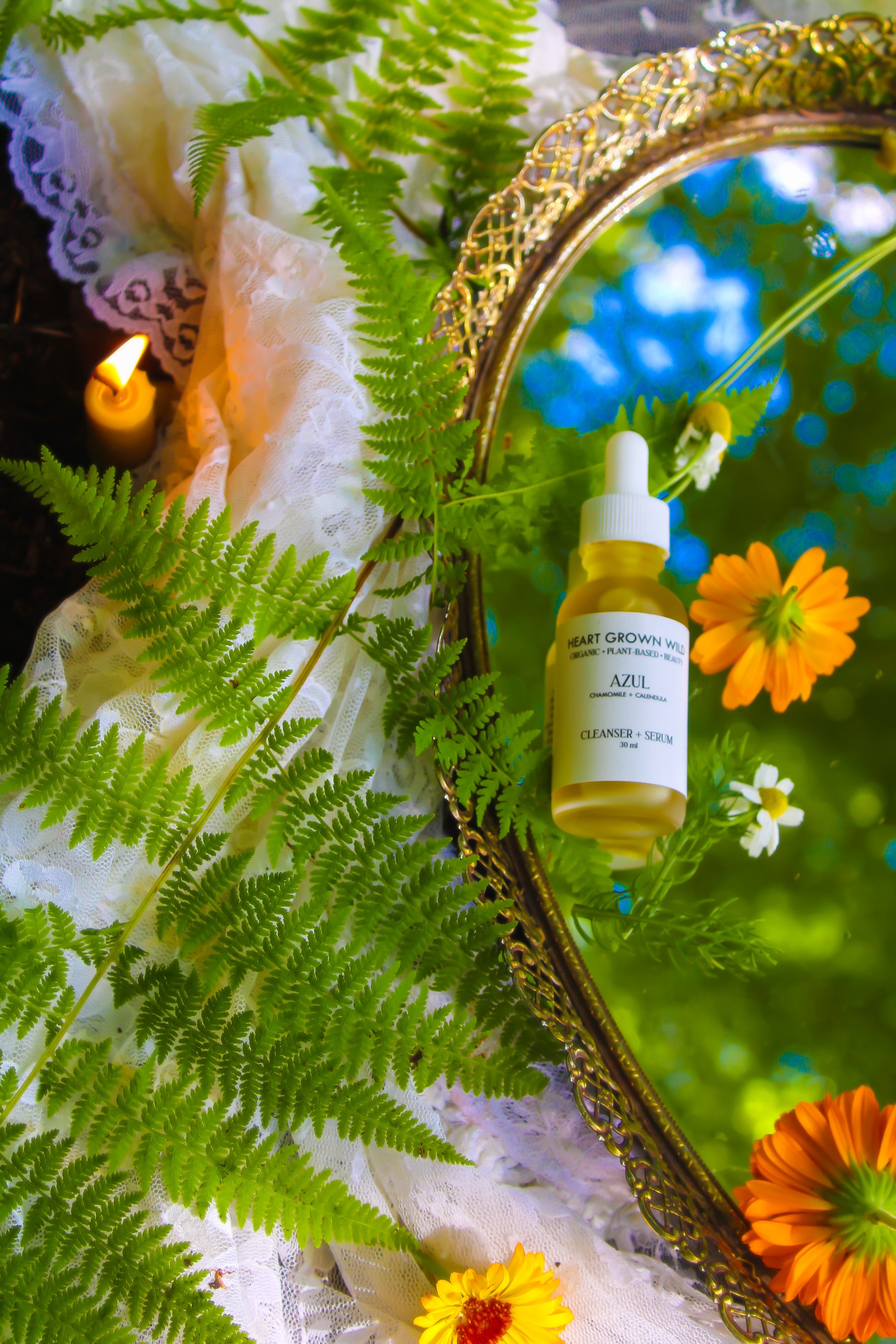In The Trees Body Oil – Heart Grown Wild